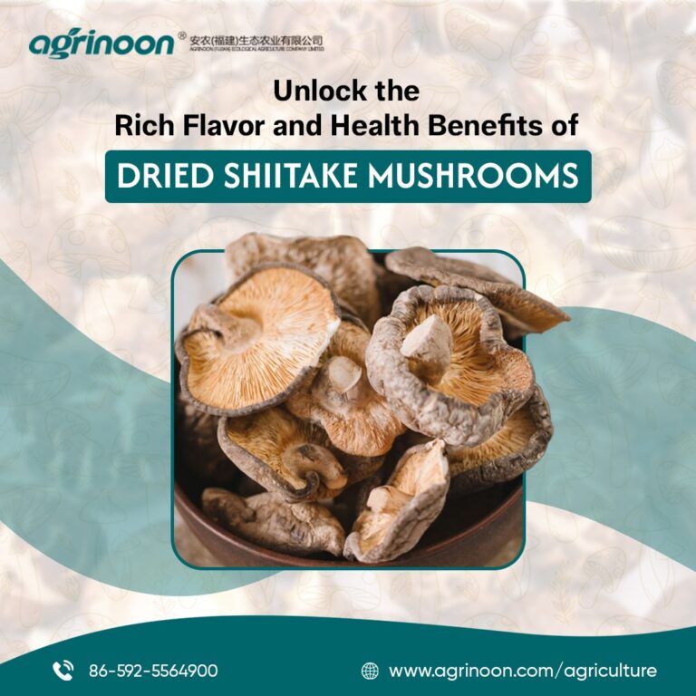 Growing Shiitake Mushrooms - A Complete DIY Guide